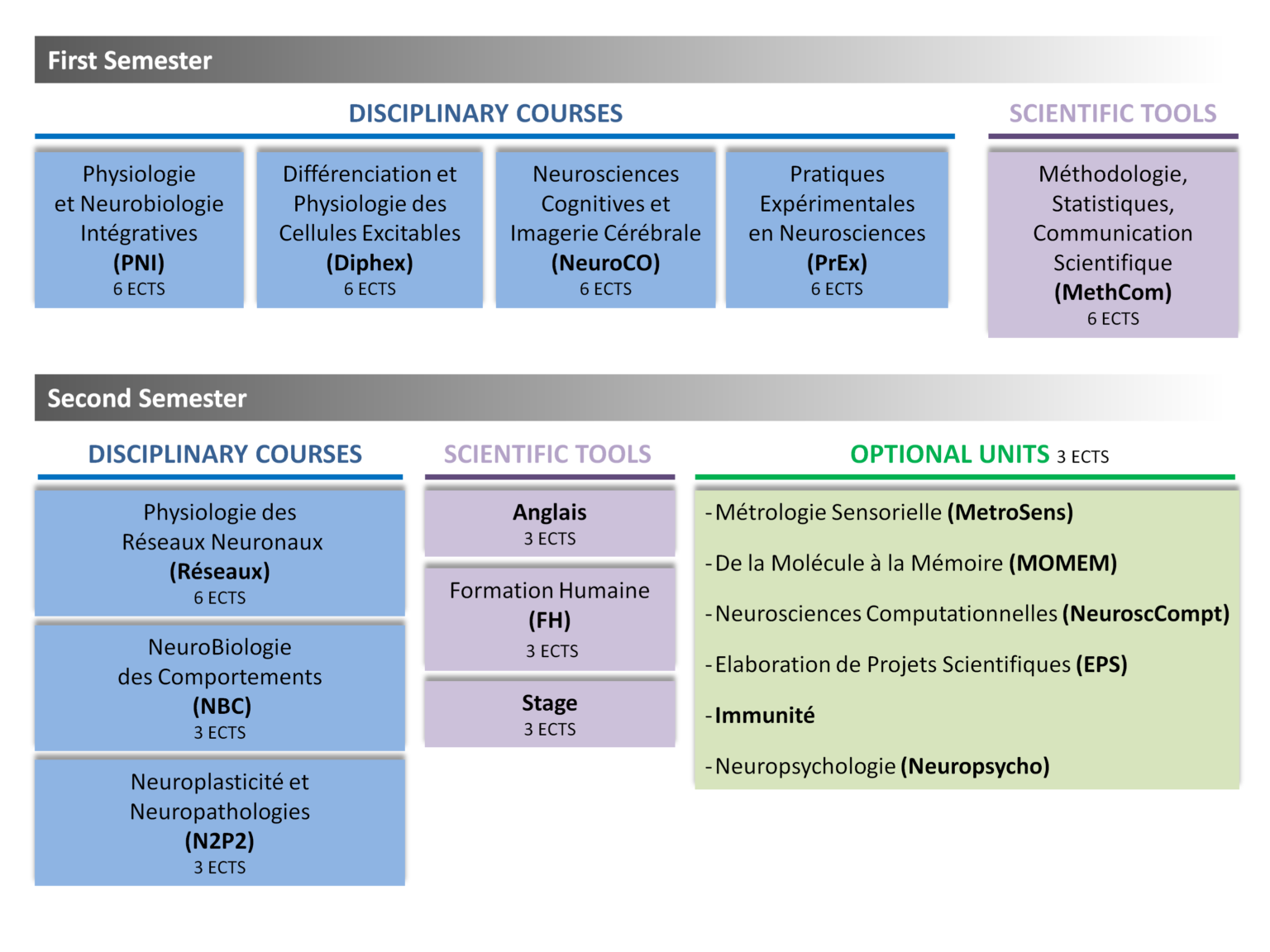 M1-program – Master of Neurosciences